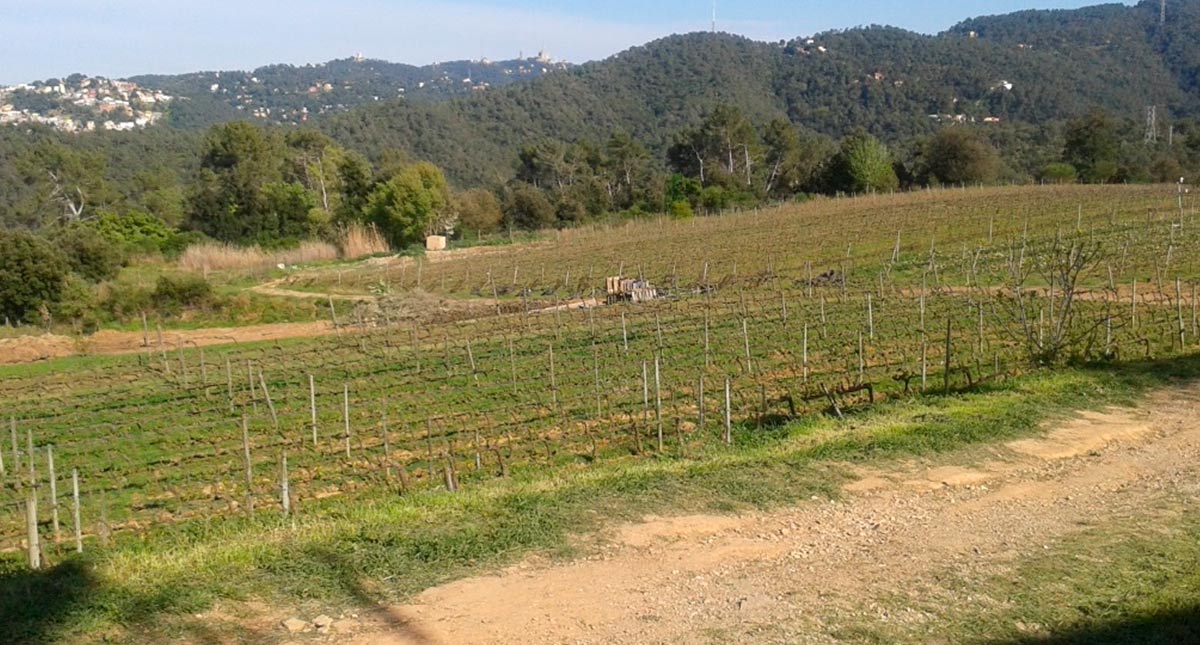 The Art of (Non Conventional) Agriculture at CASA