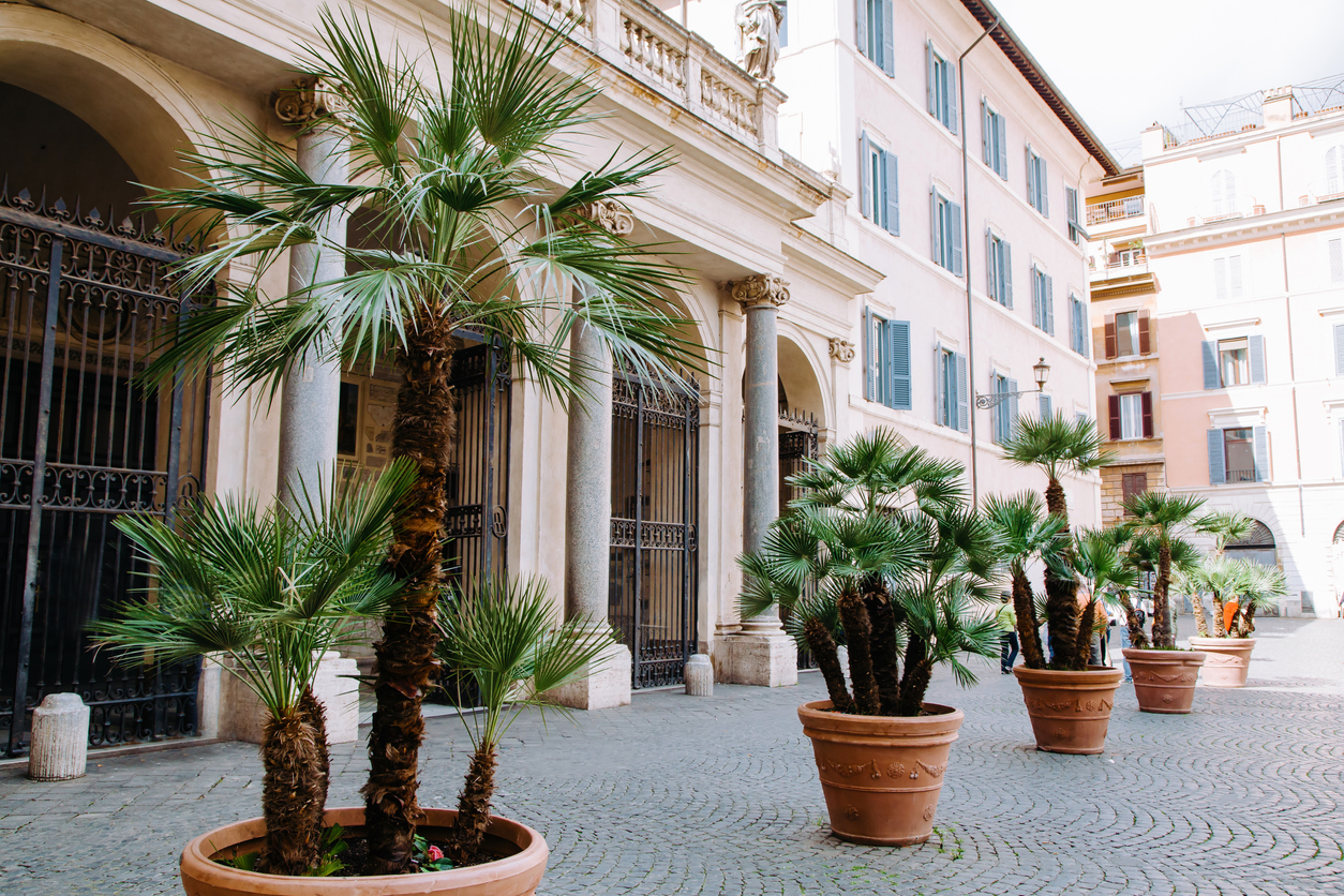 Accommodation in the vicinity of the AUR campus in Rome