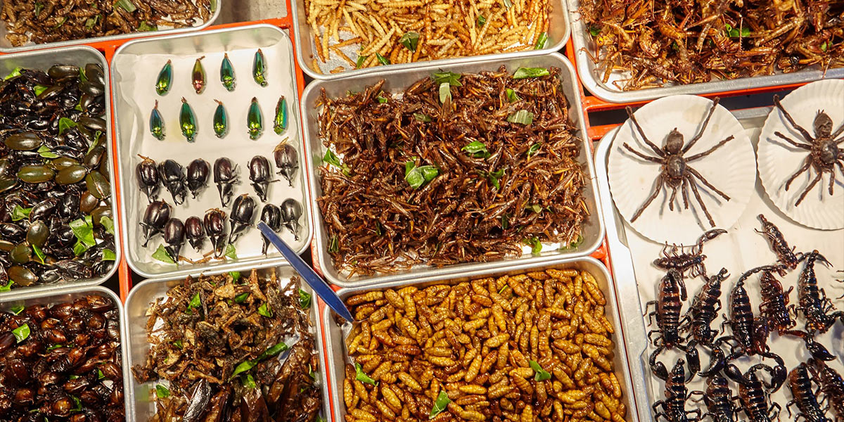 Snack the System: Exploring sustainable food systems in the making ...