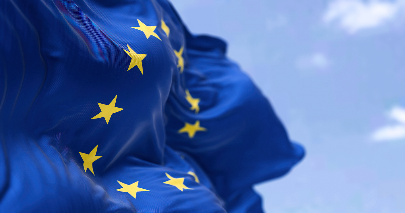 NATO in the Changing European Security Architecture - new course for ...
