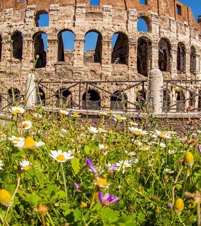 American University of Rome